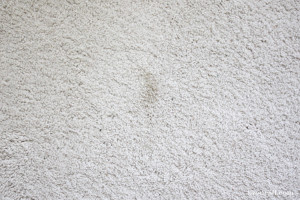 How to Get Grease out of Carpet