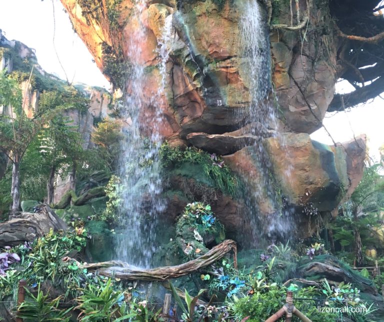 Top 5 Tips for Planning Your Walt Disney World Vacation